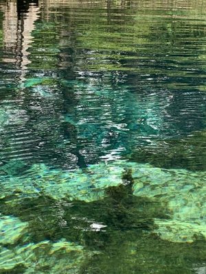 HART SPRINGS PARK - Updated May 2024 - 17 Photos & 19 Reviews - 4240 SW ...