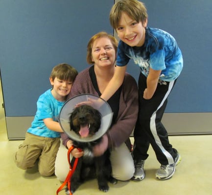 MARYLAND SPCA - Updated December 2025 - 37 Photos & 38 Reviews - 3300 ...