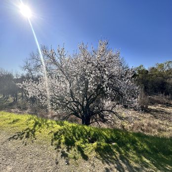 SHADOW CLIFFS REGIONAL RECREATION AREA - Updated January 2026 - 259 ...