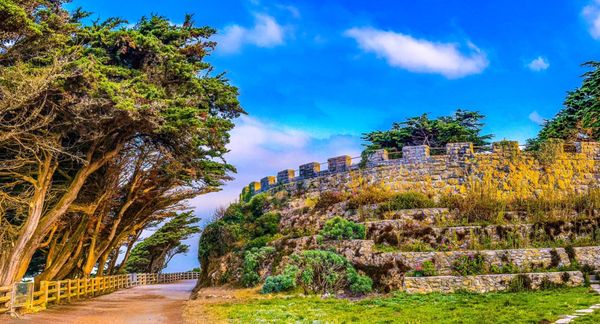 SUTRO HEIGHTS PARK - Updated March 2025 - 631 Photos & 164 Reviews ...