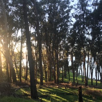 COYOTE POINT RECREATION AREA - Updated July 2024 - 637 Photos & 228 ...