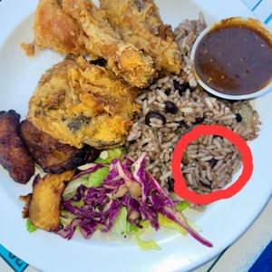 CHA CHA CHICKEN - 2177 Photos & 2422 Reviews - Restaurants near Santa ...