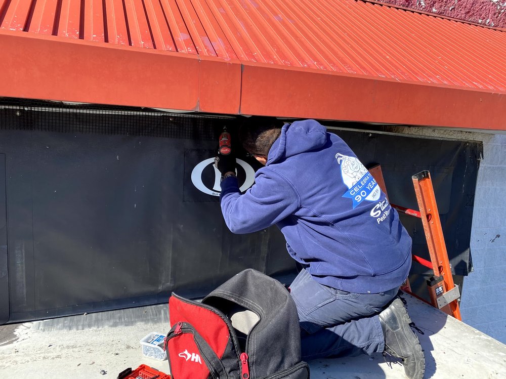 STANDARD PEST MANAGEMENT - Updated March 2024 - 21 Photos & 45 Reviews ...