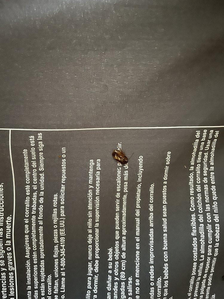 FOX BRIDGE NORTH - Updated December 2025 - 7515 Spring Stuebner Rd ...