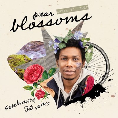 THE REDD - Updated February 2025 - 46 Photos - 831 SE Salmon St ...