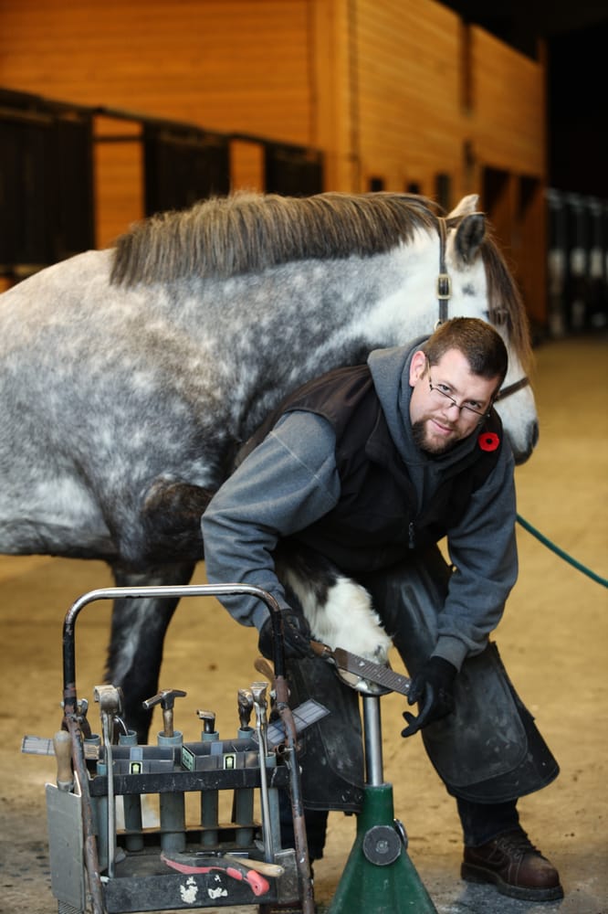 FEET FIRST FARRIER SERVICES - Updated December 2025 - 29481 58 Avenue ...