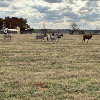 MOON RIVER RANCH - Updated November 2025 - 84 Photos & 24 Reviews - Cr ...