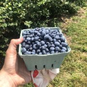 Butler’s Orchard - Temp. CLOSED - 524 Photos & 315 Reviews - Farmers ...