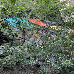 THE HOG WALLOW PUB - Updated May 2025 - 135 Photos & 241 Reviews - 3200 ...