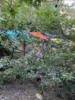 THE HOG WALLOW PUB - Updated August 2025 - 139 Photos & 246 Reviews ...