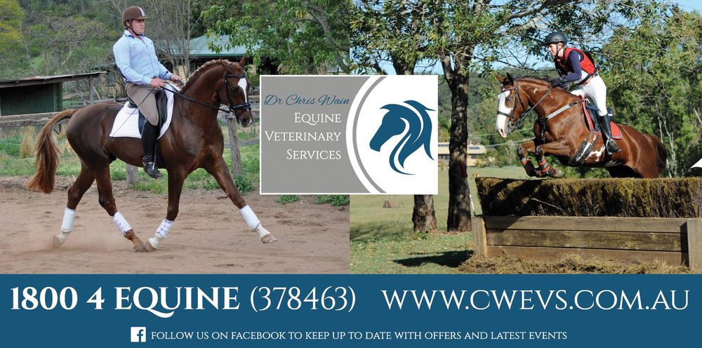 CHRIS WAIN EQUINE VETERINARY SERVICES - Veterinarians - Victoria Point ...