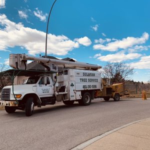 TREE SERVICE CALGARY - 25 Photos - 538 Saddlecreek Way #105 NE, Calgary ...