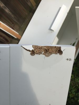 SUDDATH - Updated July 2025 - 27 Photos & 99 Reviews - 2020 South 10th ...