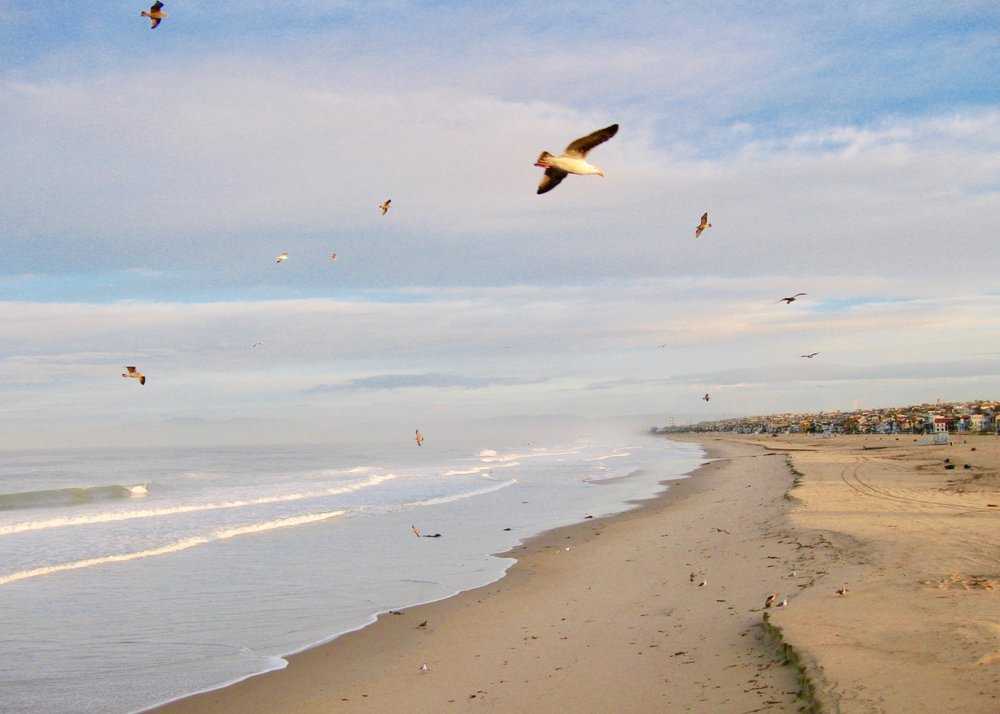 HERMOSA BEACH - 687 Photos & 159 Reviews - Beaches - 517 Pier Ave ...