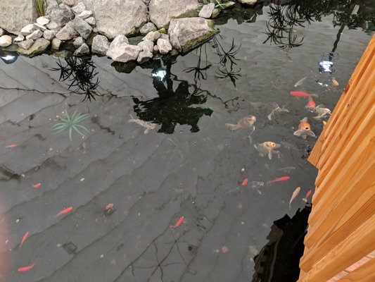 PADDOCK CHEVROLET GOLF DOME - 32 Photos & 26 Reviews - Golf - 175 ...