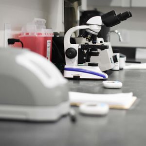 INTERPATH LABORATORY - Updated October 2025 - 358 Cheney Dr W, Twin ...