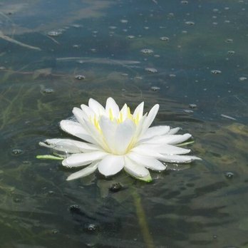 WINGRA BOATS - Updated June 2025 - 46 Photos & 34 Reviews - 824 ...