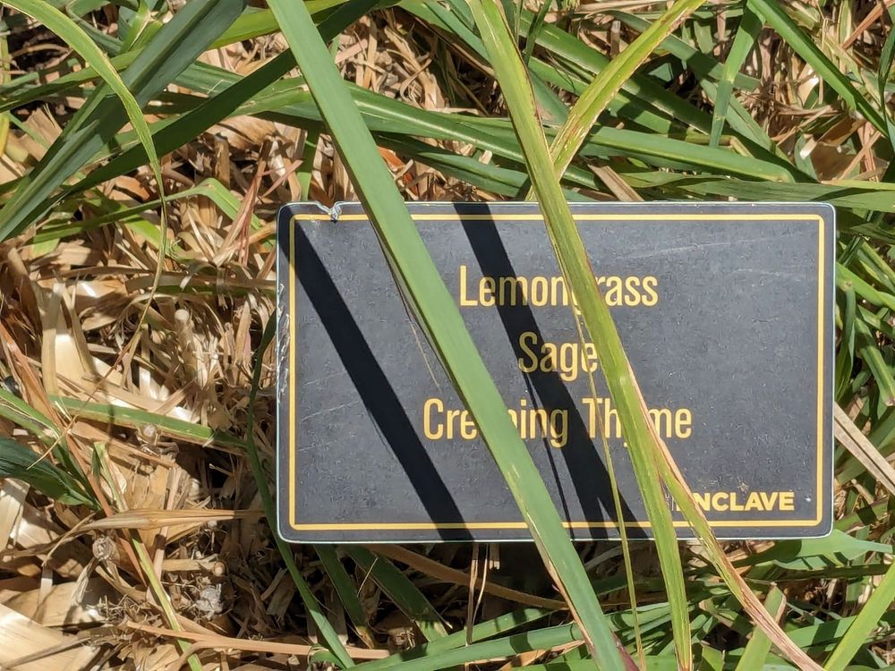 THE ENCLAVE - Updated April 2025 - 335 Photos & 61 Reviews - 970-990 W ...