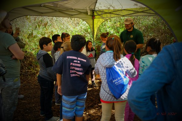 DYSINGER ELEMENTARY SCHOOL - Updated October 2025 - 12 Photos - 7770 ...