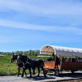 KNUTSON FARMS - Updated October 2025 - 155 Photos & 41 Reviews - 16406 ...
