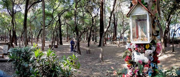 PARQUE GANDHI - Updated August 2025 - Bosque de Chapultepec, México, D ...