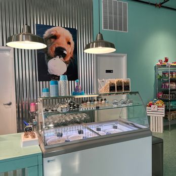 SALTY PAWS - Updated October 2025 - 69 Photos & 22 Reviews - 121 N ...