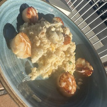 FINS ALE HOUSE & RAW BAR - WEST FENWICK - Updated October 2025 - 53 ...