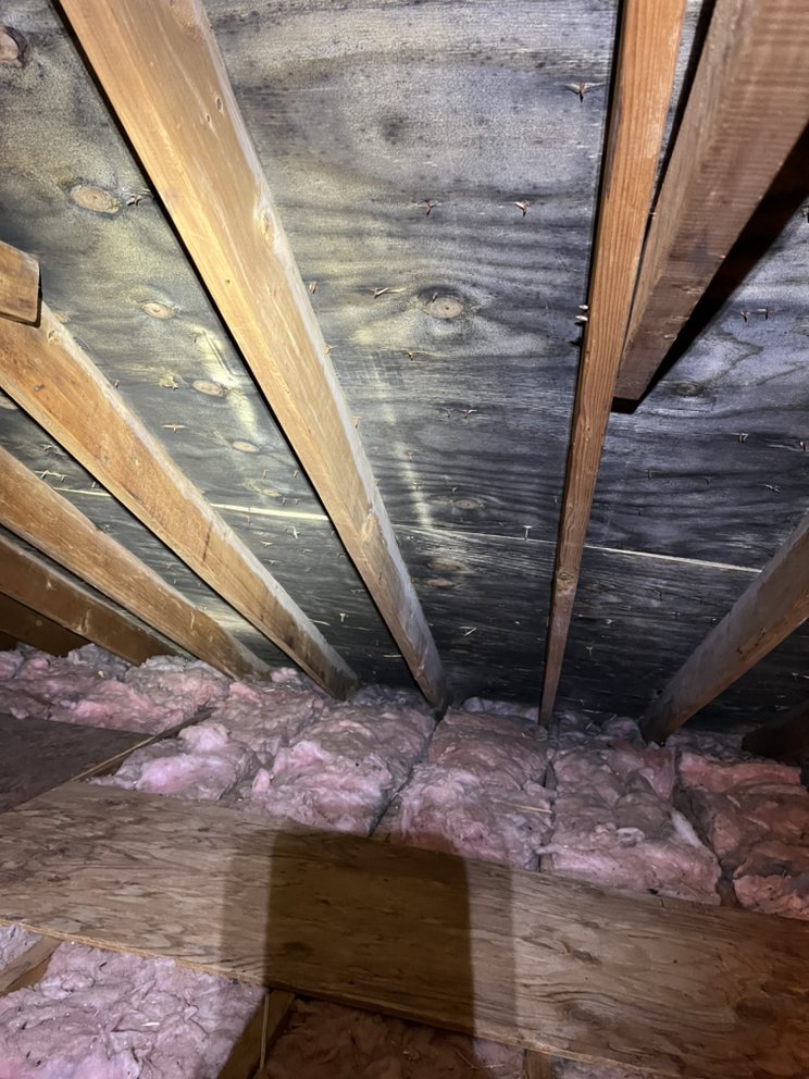 GREEN WAVE SOLUTIONS - Request Consultation - 17 Photos - Environmental ...