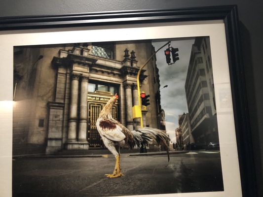 EL ROCOTO FAIRFIELD - Updated October 2025 - 109 Photos & 76 Reviews ...