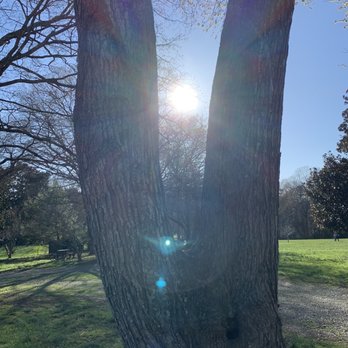 AYR MOUNT - Updated January 2026 - 142 Photos & 11 Real Reviews - 376 ...