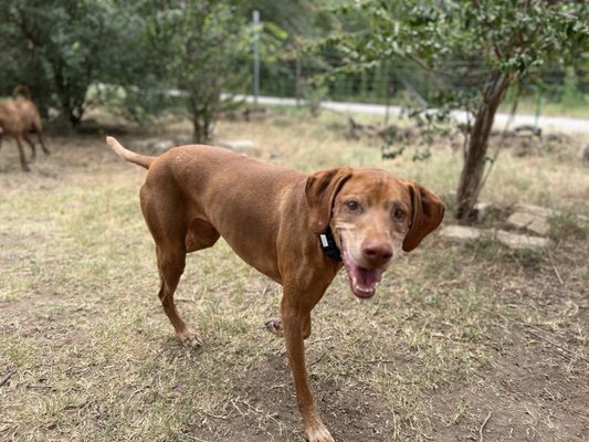 CAMP ZOO & PET RANCH - Updated December 2025 - 79 Photos & 48 Reviews ...