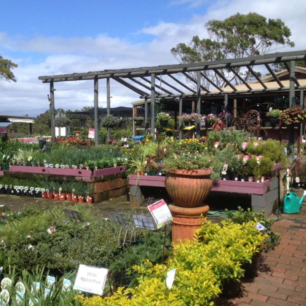 Flower Power Penrith Cafe Menu | Best Flower Site