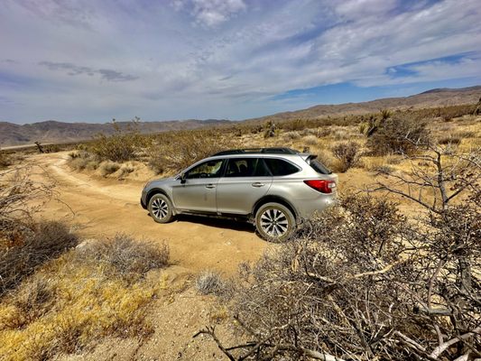 PALM SPRINGS SUBARU - Updated December 2025 - 140 Photos & 284 Reviews ...