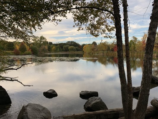 FRESH POND - 70 Photos & 82 Reviews - 250 Fresh Pond Pkwy, Cambridge ...