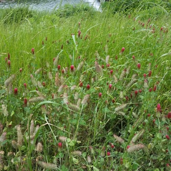 FAULKEY GULLY HIKE AND BIKE TRAIL - Updated September 2025 - 32 Photos ...