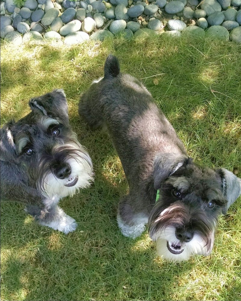 CANNONDALE ANIMAL CLINIC - Updated December 2025 - 16 Photos & 26 ...