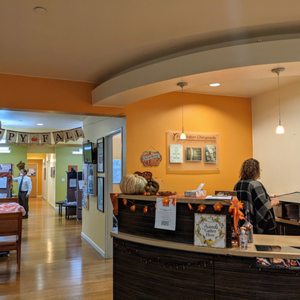 BAYSIDE CHIROPRACTIC - 21 Photos & 66 Reviews - Chiropractors - 1200 ...