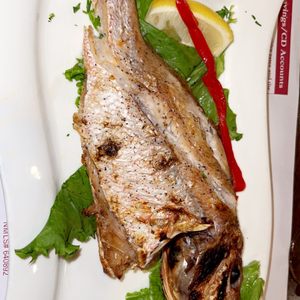 PORTUGAL EXPRESS - Updated July 2025 - 95 Photos & 138 Reviews - 460 S ...