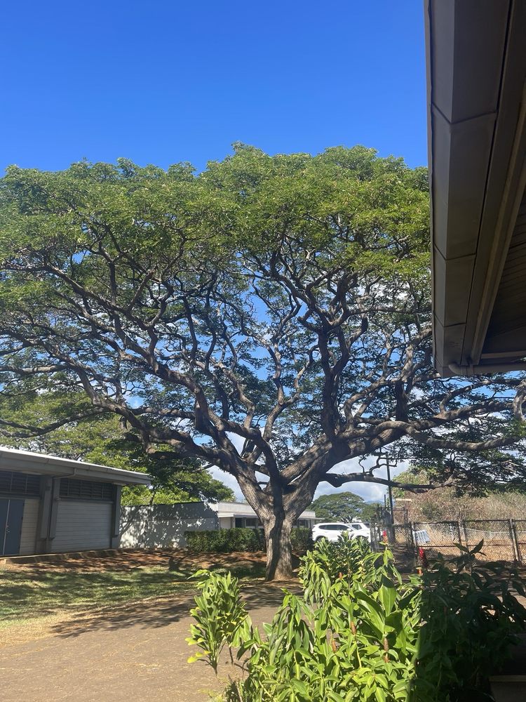 WAIPAHU INTERMEDIATE SCHOOL - Updated May 2026 - 13 Photos - 94-455 ...