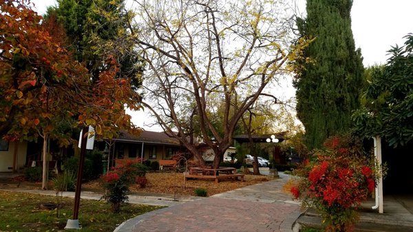 TATHAGATA MEDITATION CENTER - Updated December 2025 - 46 Photos - 1215 ...