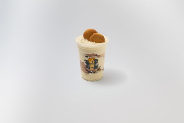 THE SCREAMING PARROTS CAFE - Updated December 2025 - 88 Photos & 35 ...