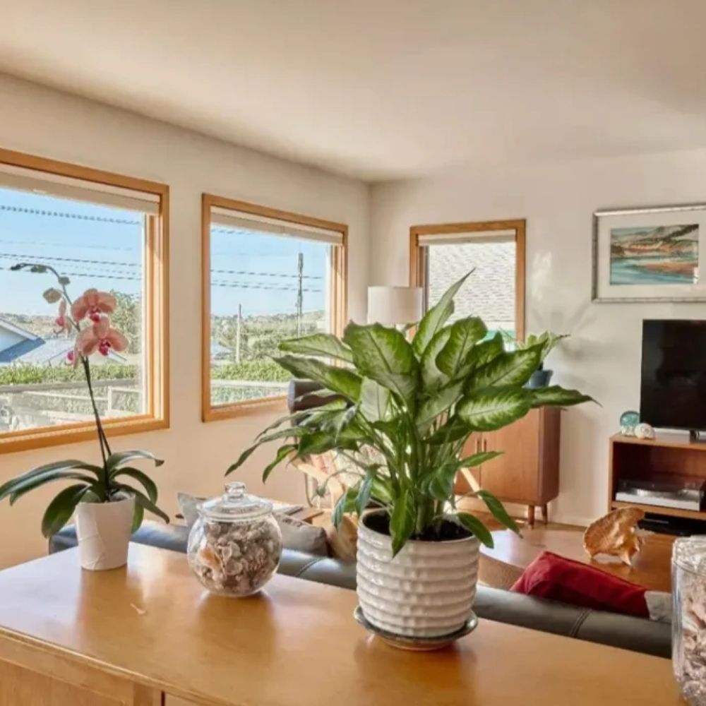 HARMONIOUS HOMES SONOMA - Updated August 2025 - 46 Photos - Windsor, California - Home Cleaning ...