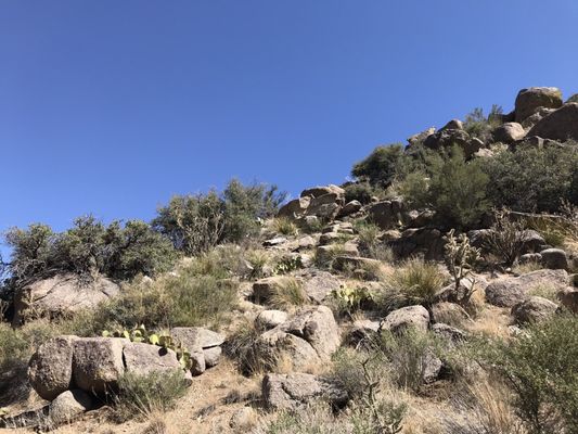EMBUDO CANYON TRAILHEAD - Updated May 2024 - 45 Photos & 10 Reviews ...