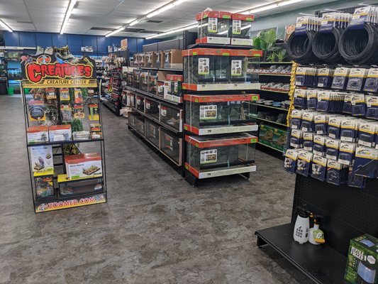 TOADALLY FROGS - Updated December 2025 - 14 Photos - 504 Orchard St ...