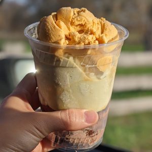 SOMERSET CREAMERY - Updated November 2024 - 71 Photos & 123 Reviews ...