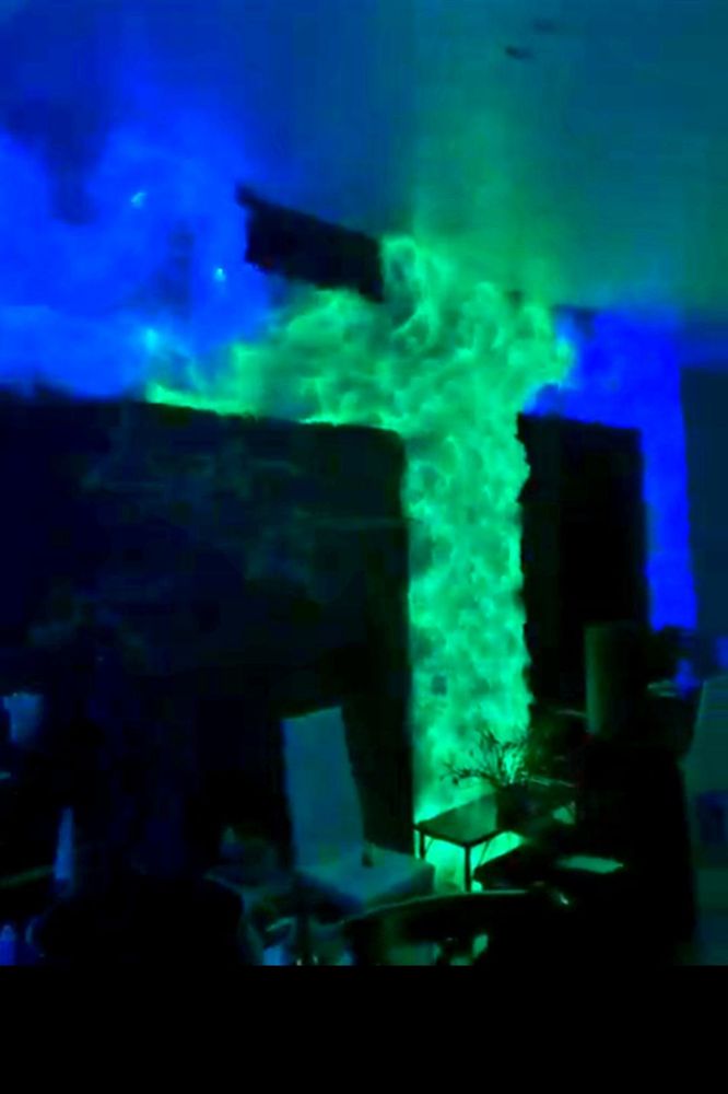 EXOUD EXOTICS - Updated October 2025 - 17 Photos - 741 Clearwater Largo ...