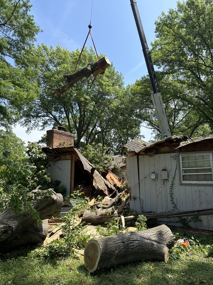 THE TREE WISE MEN - Updated October 2025 - Grain Valley, Missouri ...