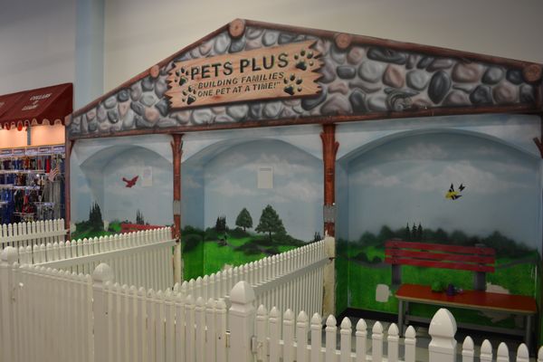 PETS PLUS NATURAL - Updated June 2025 - 42 Photos & 38 Reviews - 111 ...