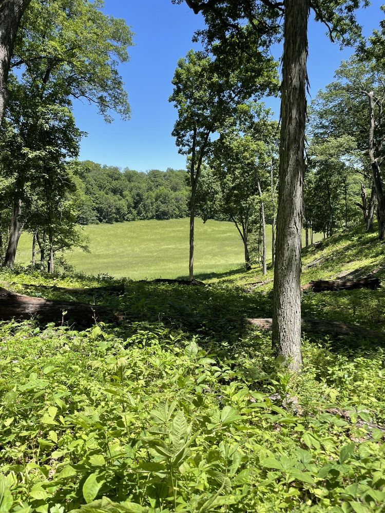 FESTGE COUNTY PARK - Updated October 2025 - 4894 Scherbel Rd, Cross ...