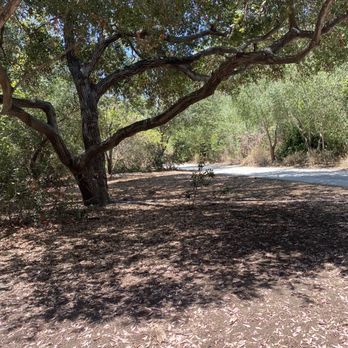 SERRANO CREEK PARK - Updated December 2025 - 196 Photos & 50 Reviews ...